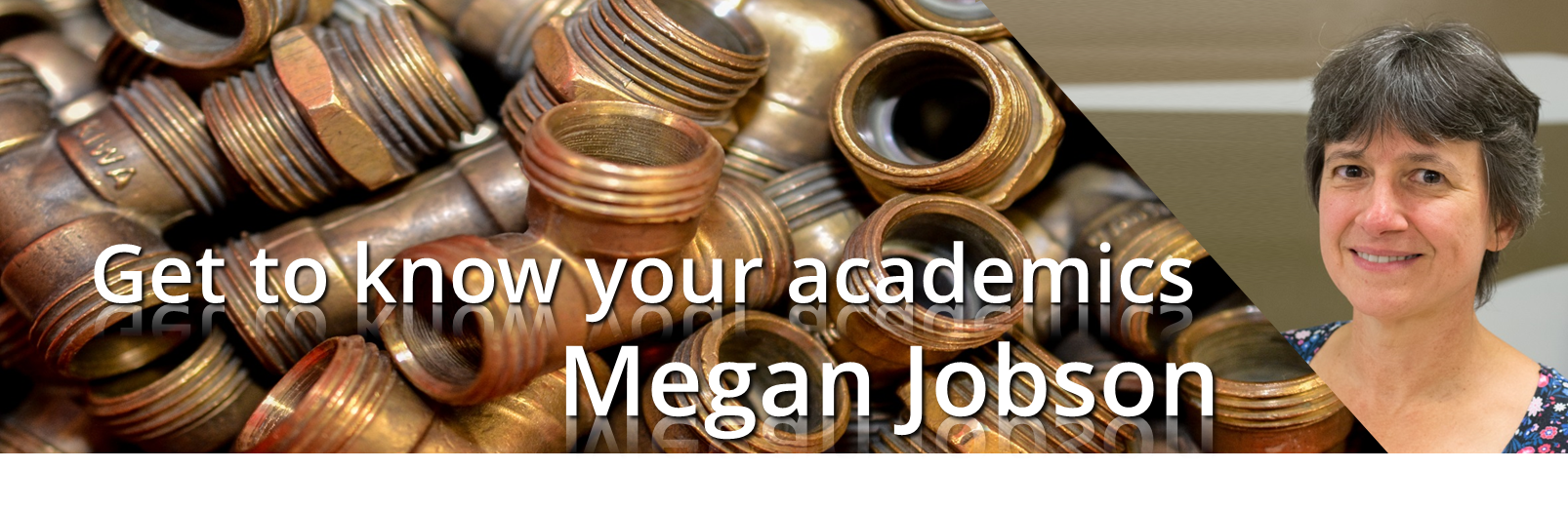 Get to know your Academics - Megan Jobson - Department of Chemical ...