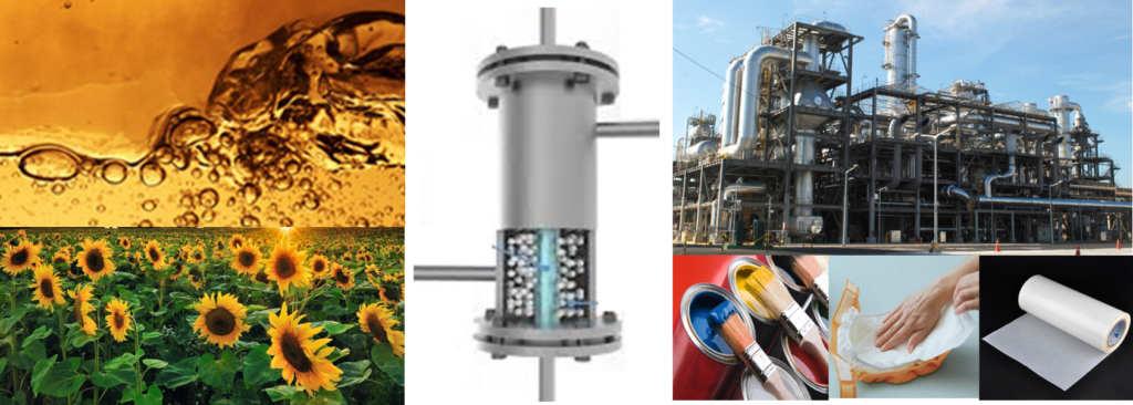New EPSRC project funded on sustainable acrylic acid production ...
