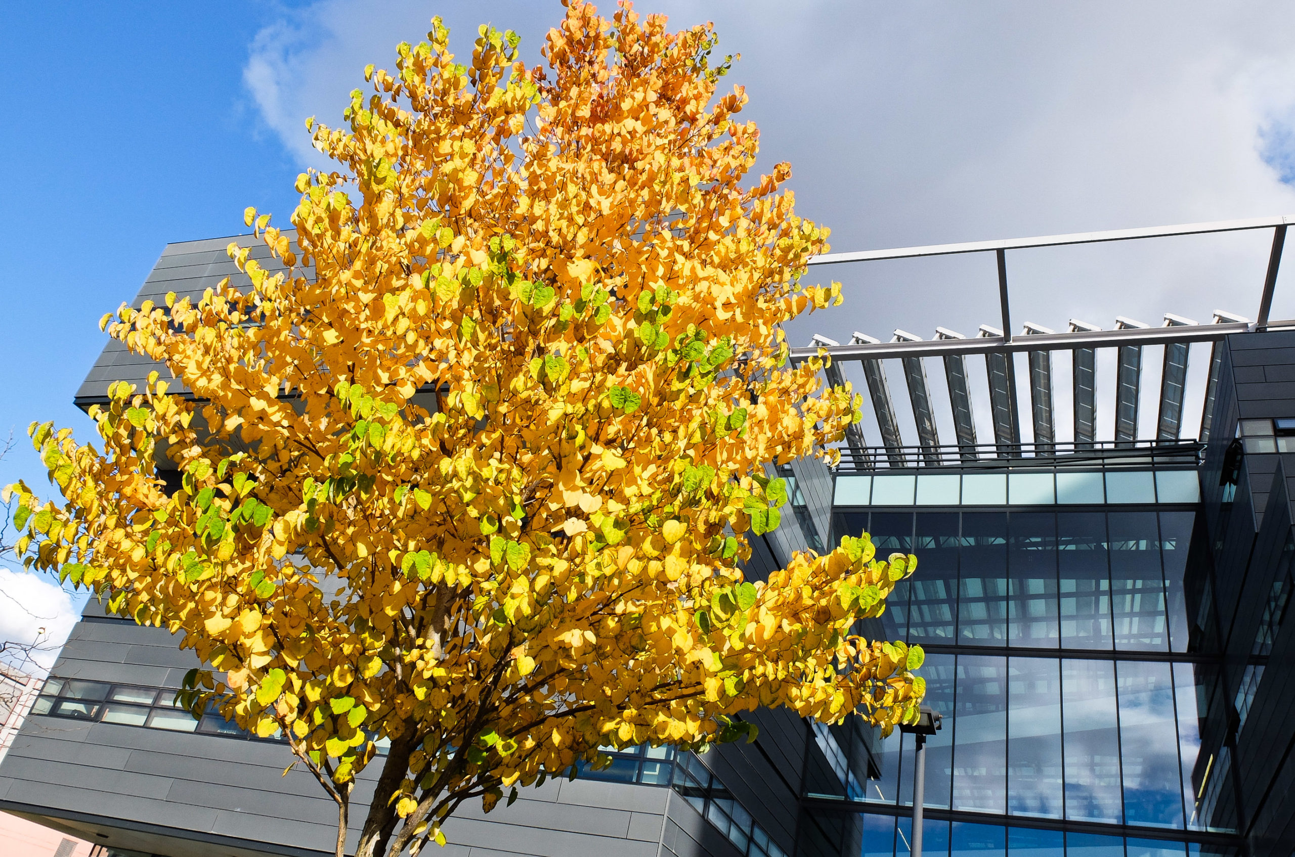 Sir Horace Lamb - Department of Mathematics Blog