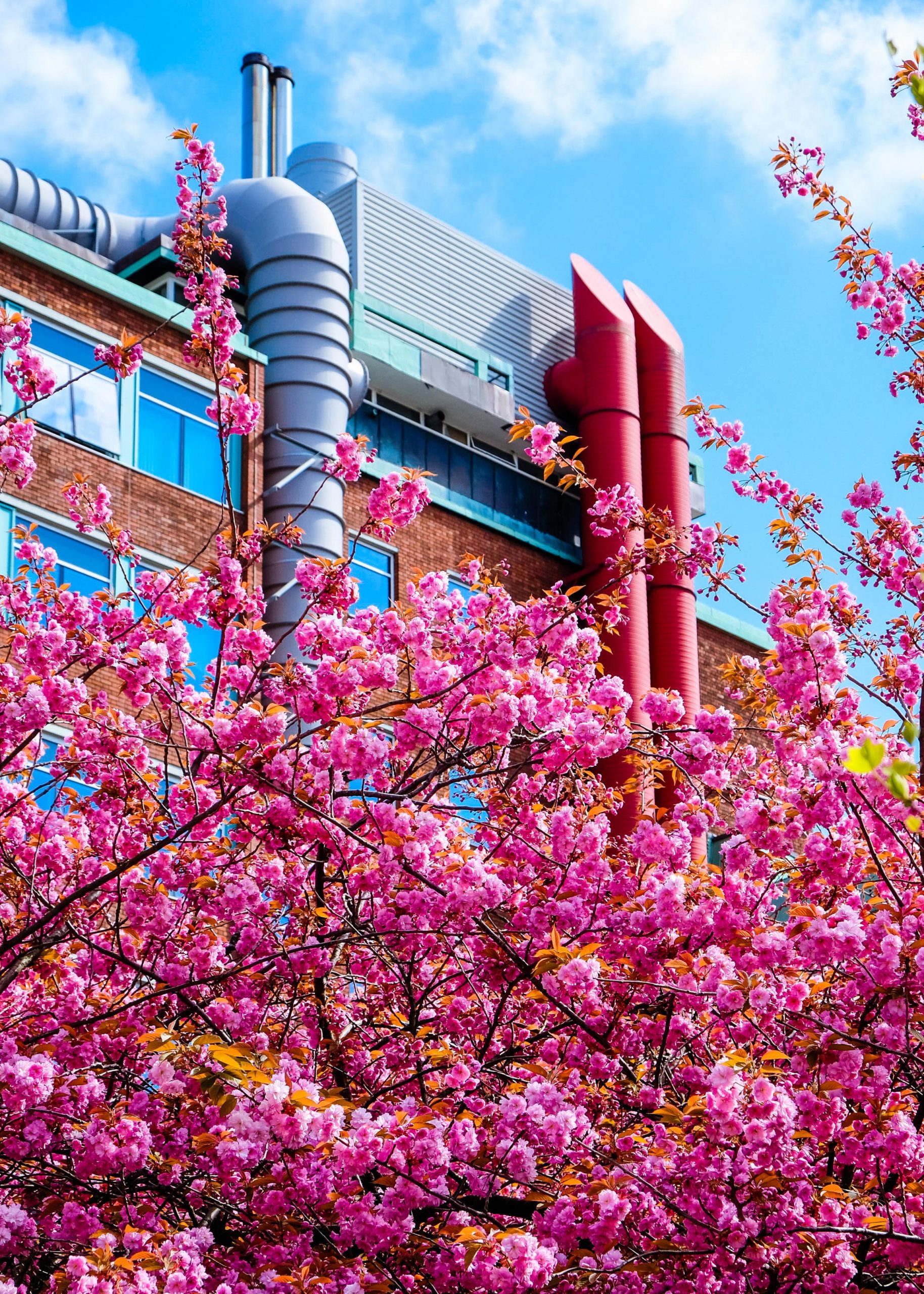 Max Newman - Department of Mathematics Blog