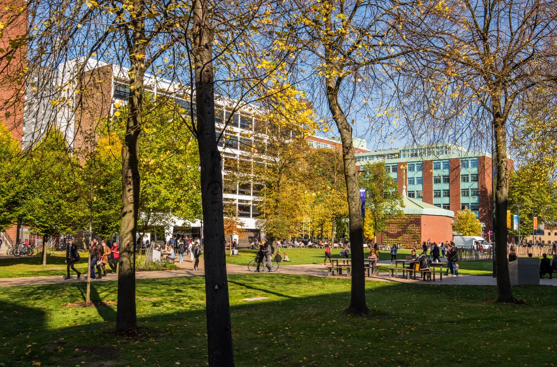 Society Spotlights: Nuclear and Particle Physics Society - Department ...