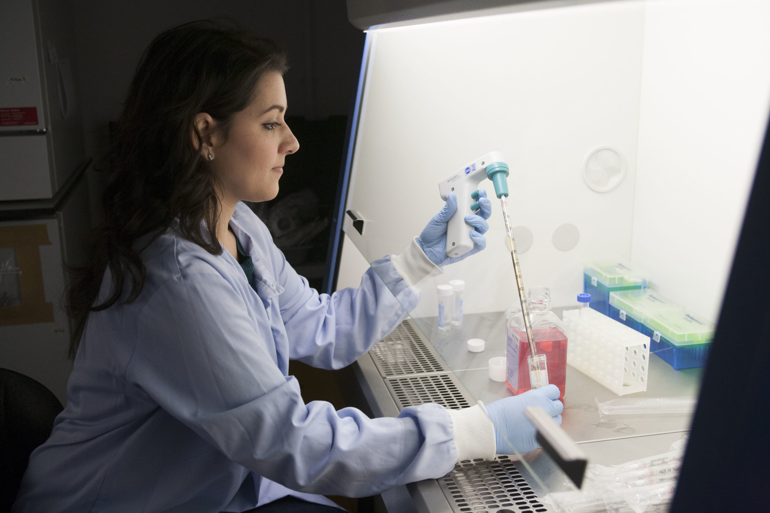 Going out on a limb - could we one day grow back a lost hand? - Science ...