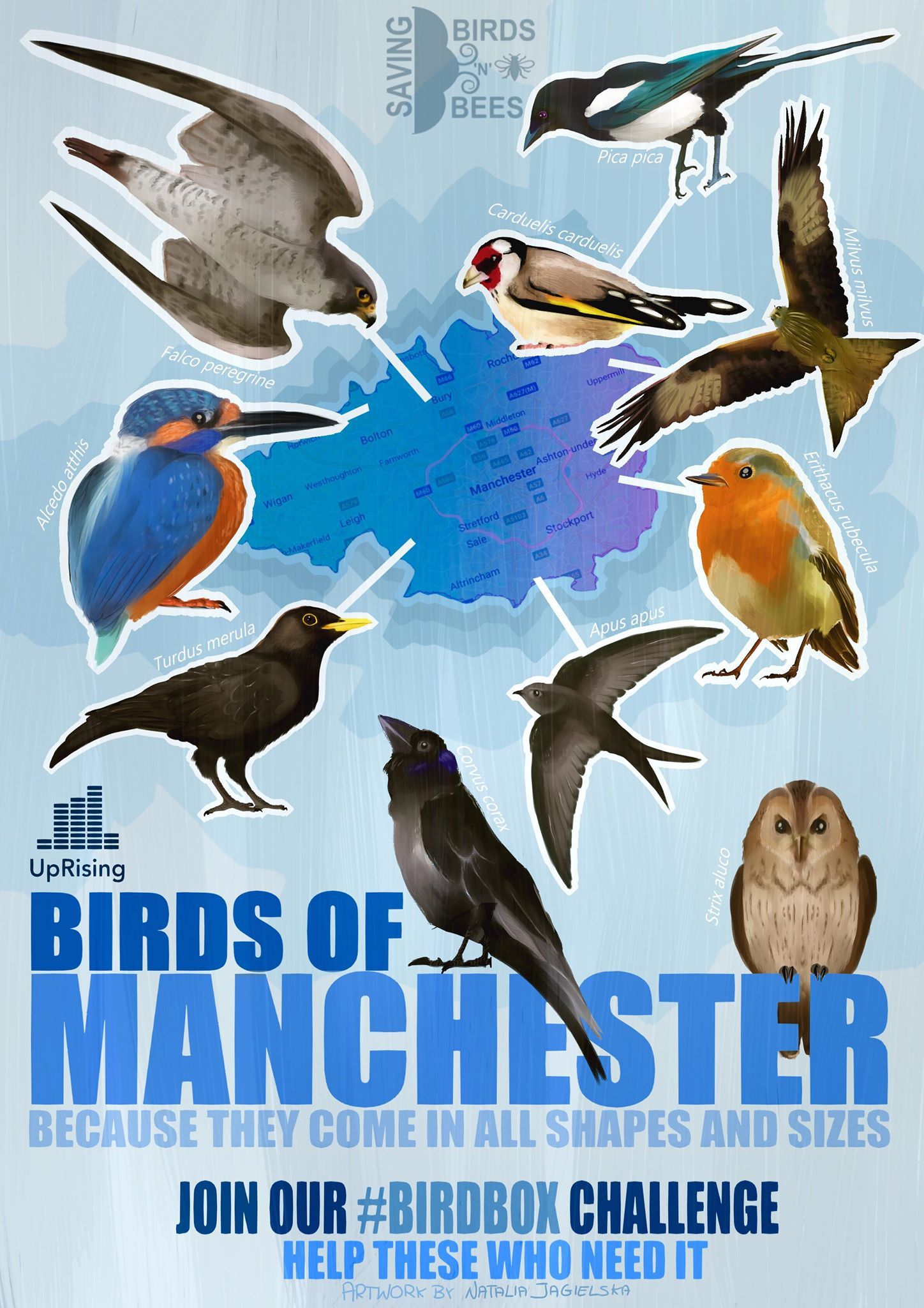 Saving the Birds n Bees: Environmental Leadership Challenge ...