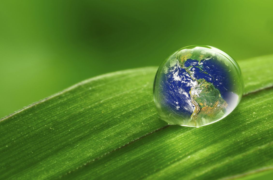 Earth Science Matters: Biology and Chemistry - Department of Earth and ...