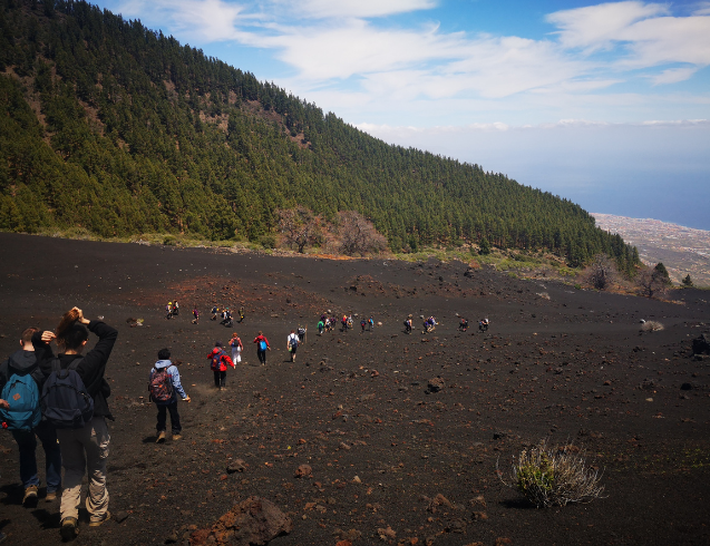 The Long Walk Down: Virtual Field Course in Environmental Science ...